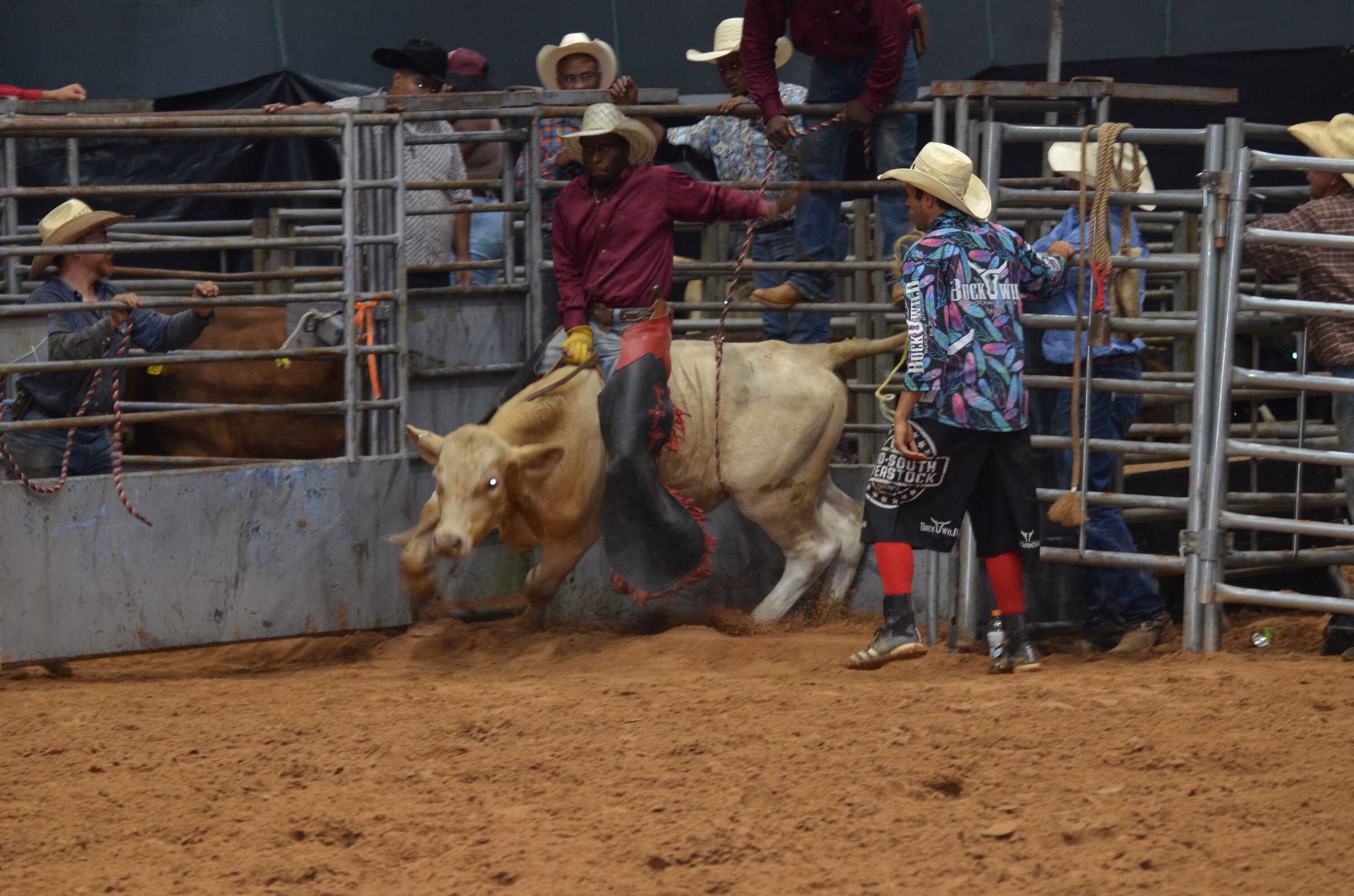 Pine Bluff native brings Black Rodeo home | Northwest Arkansas Democrat ...