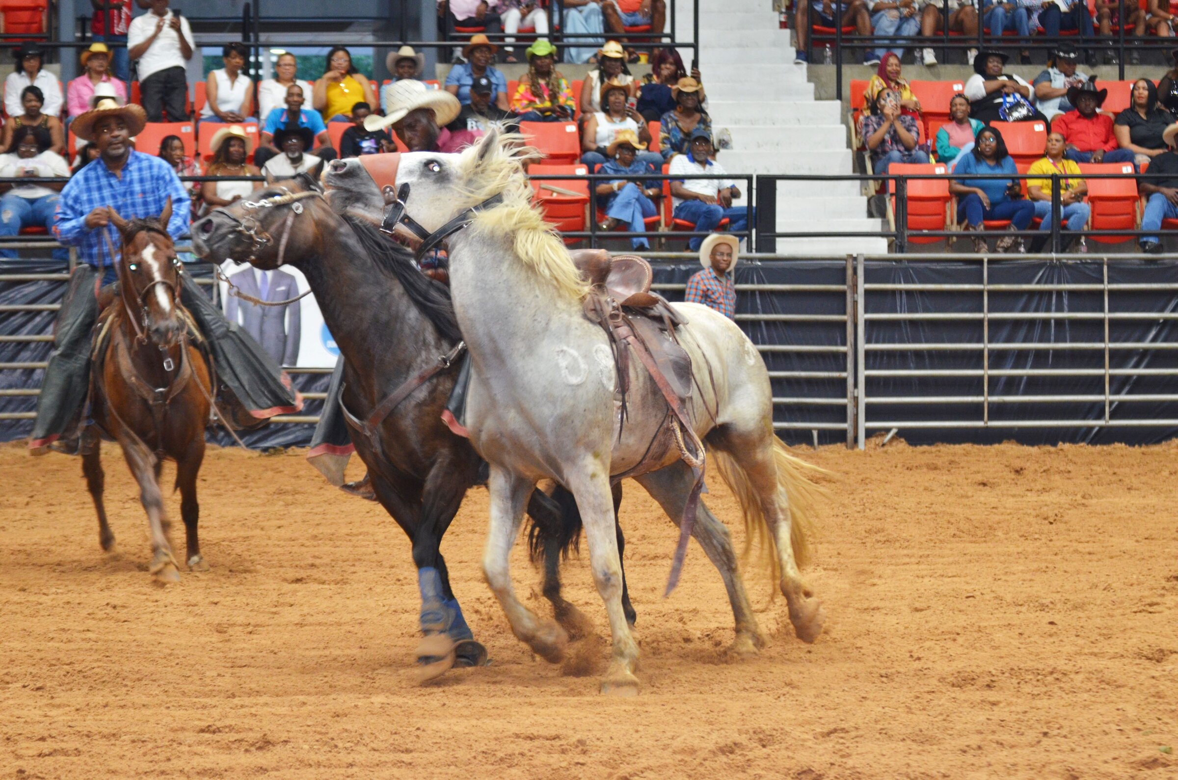 Pine Bluff native brings Black Rodeo home | The Arkansas Democrat ...