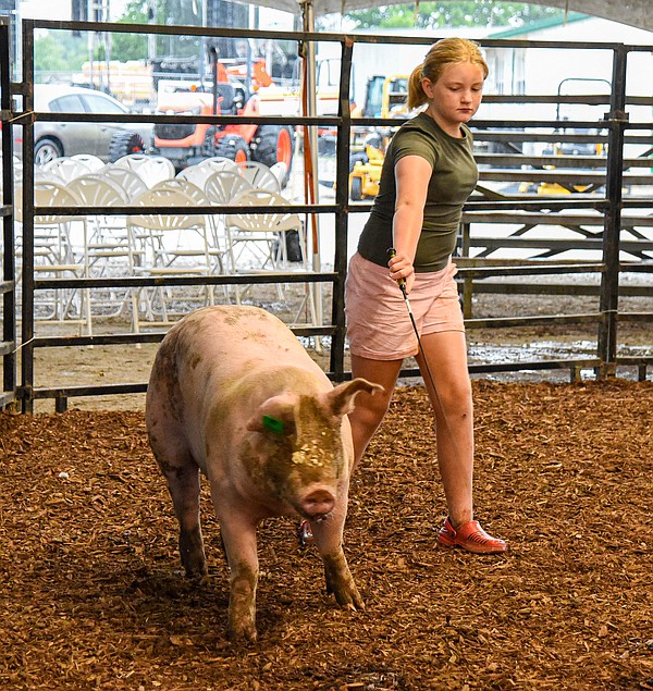 Youths showcase hogs at county fair | Jefferson City News Tribune