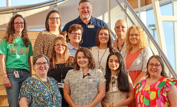 TISD honored for visual arts efforts