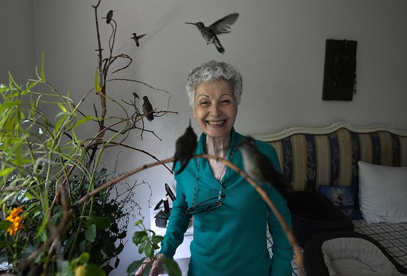 Hummingbird haven: Woman turns Mexico City apartment into a clinic for ...