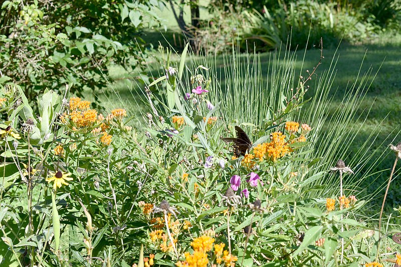 Garden club members discuss lifelong interest | The Weekly Vista