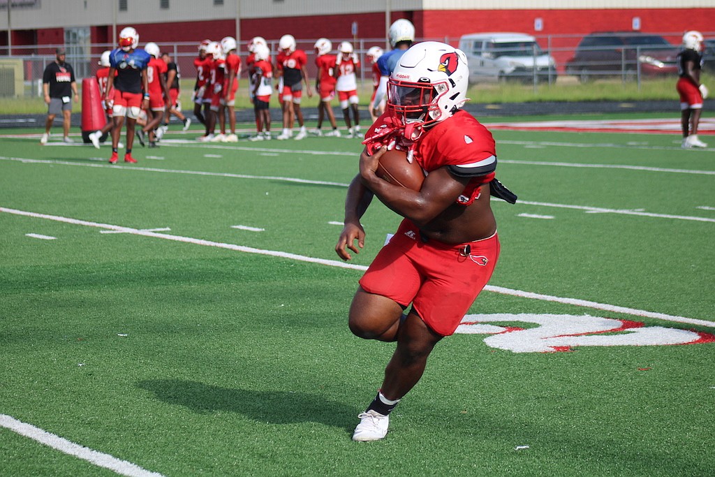 Cardinals will utilize a backfield by running back committee | Camden News