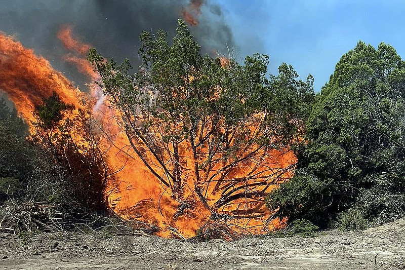 Texarkana, Texas, firefighters deploy to battle wildfires across state ...