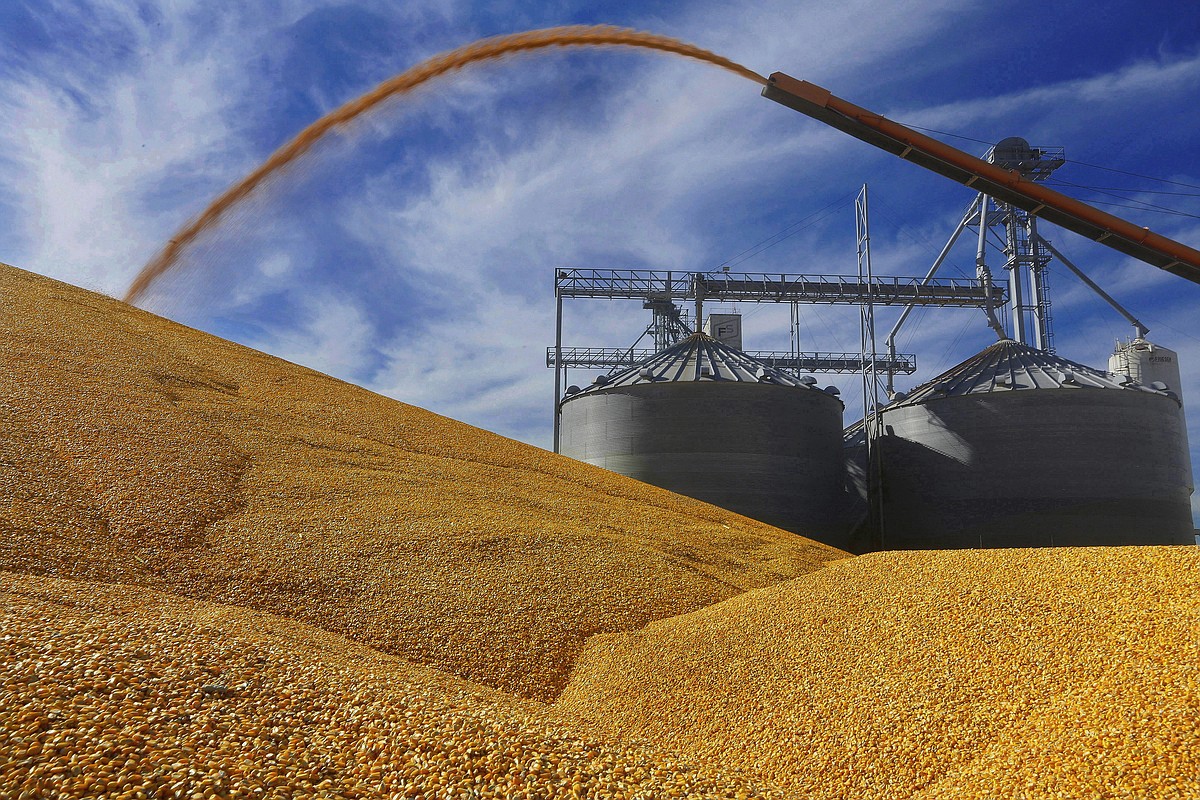 Mexico, U.S. in fight over altered corn | The Arkansas Democrat-Gazette ...