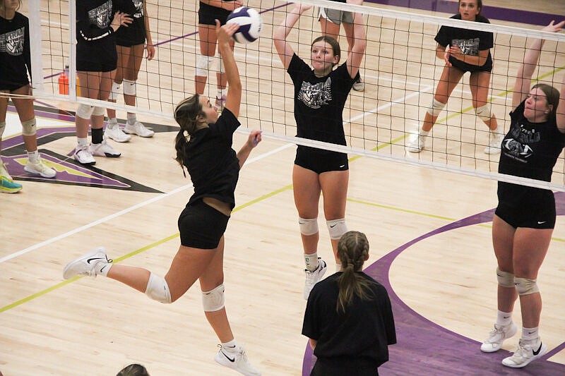 North Callaway volleyball has lofty ambitions with experienced team ...