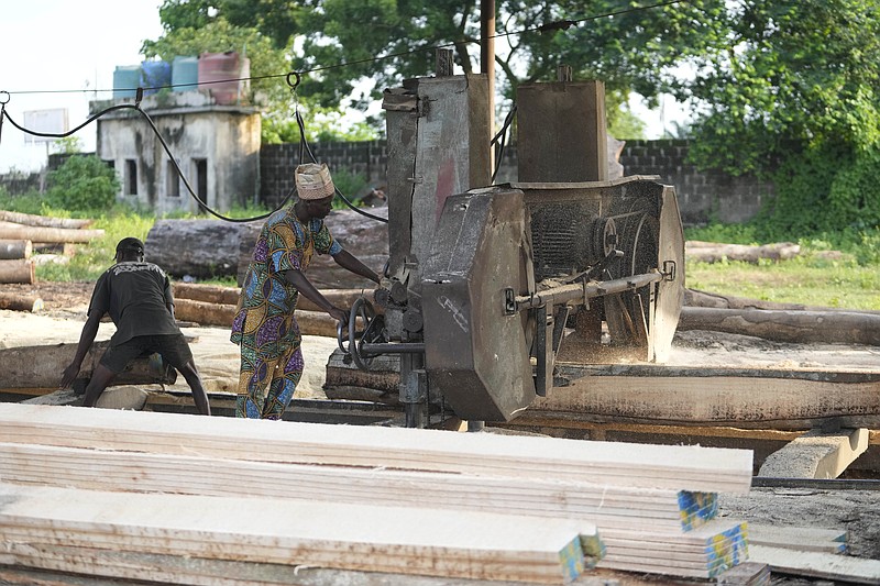 Logging grows in Nigerian forest home to endangered elephants | Hot ...