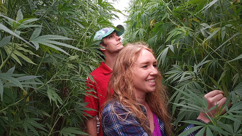 Lincoln University’s Hemp Field Day is buzzing | Jefferson City News ...