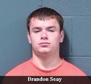 Two arrested for firearm-related offenses | Fulton Sun