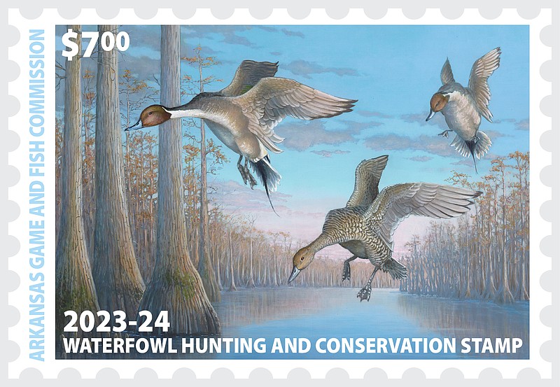 2023 Arkansas duck stamp unveiled | Hot Springs Sentinel Record