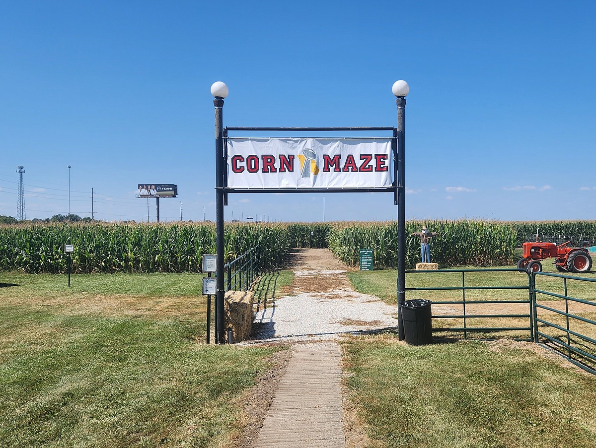 Shryock’s corn maze opens for season | Fulton Sun