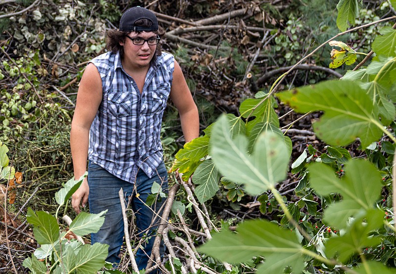 Jefferson City yard waste service ending next month | Jefferson City ...