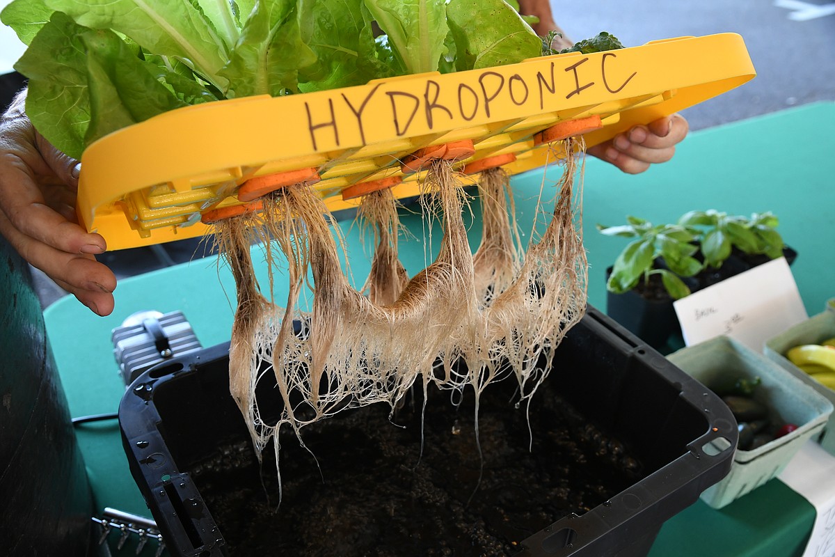 Homegrown goods rule leads to bans for some vendors | Hot Springs ...