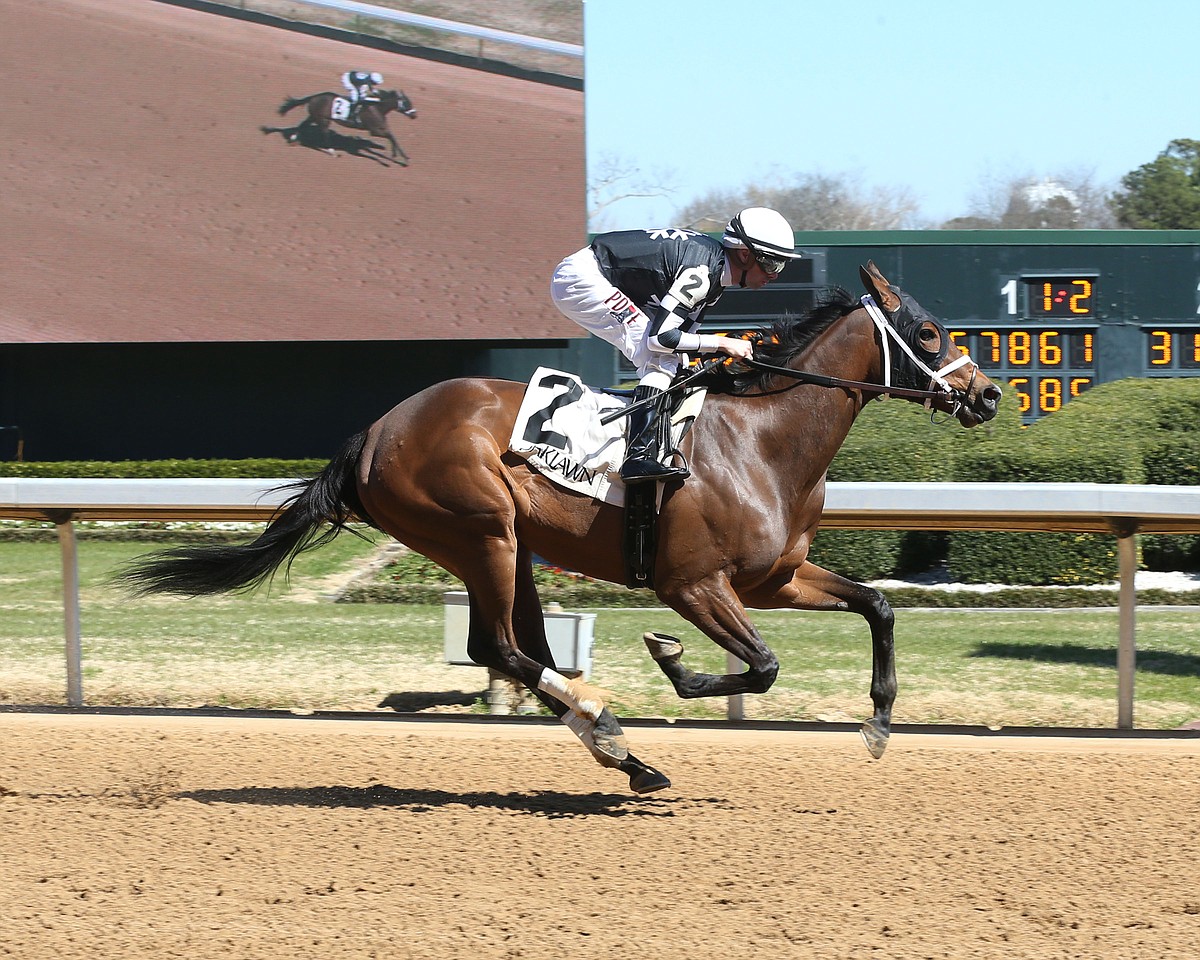 Flurry filly wins another stake in Maryland | Hot Springs Sentinel Record
