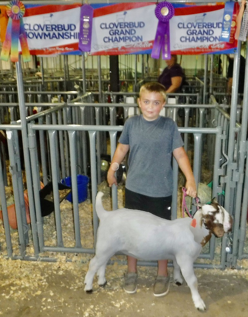 Scenes from the Benton County Fair | Westside Eagle Observer