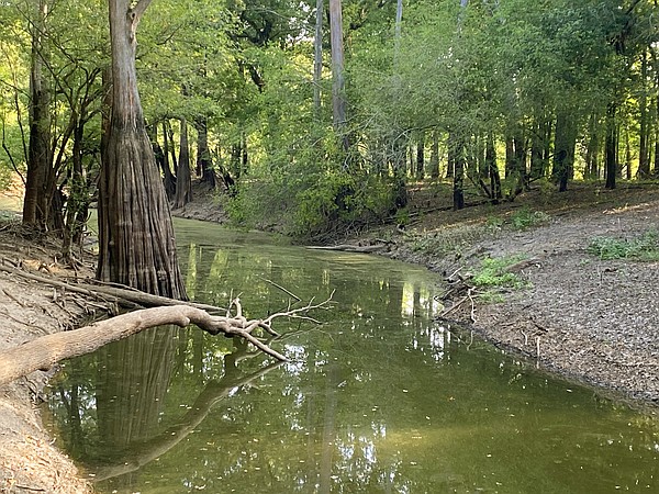 WATCH | WMA offers hundreds of acres for hunting, fishing, camping ...