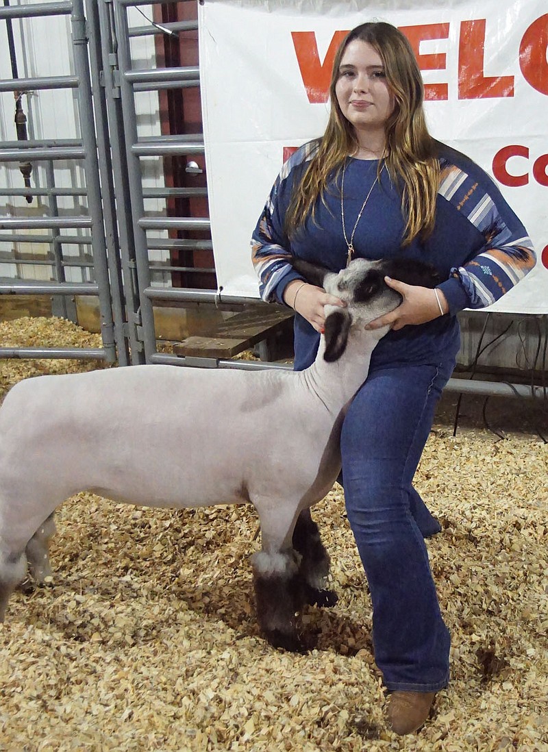 Sheep | Westside Eagle Observer