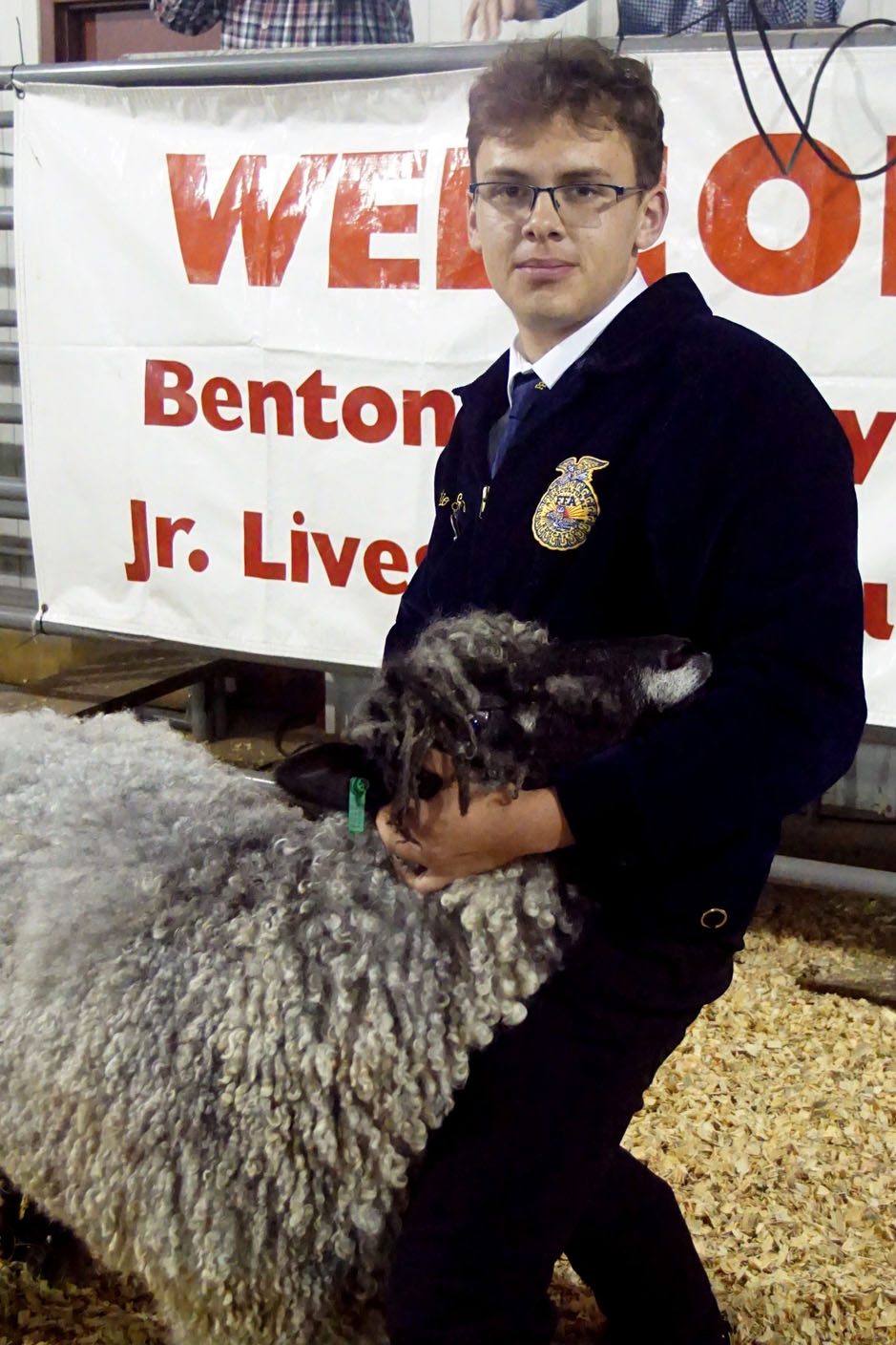 Sheep | Westside Eagle Observer