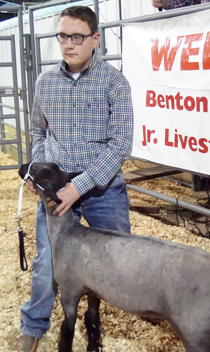 Sheep | Westside Eagle Observer