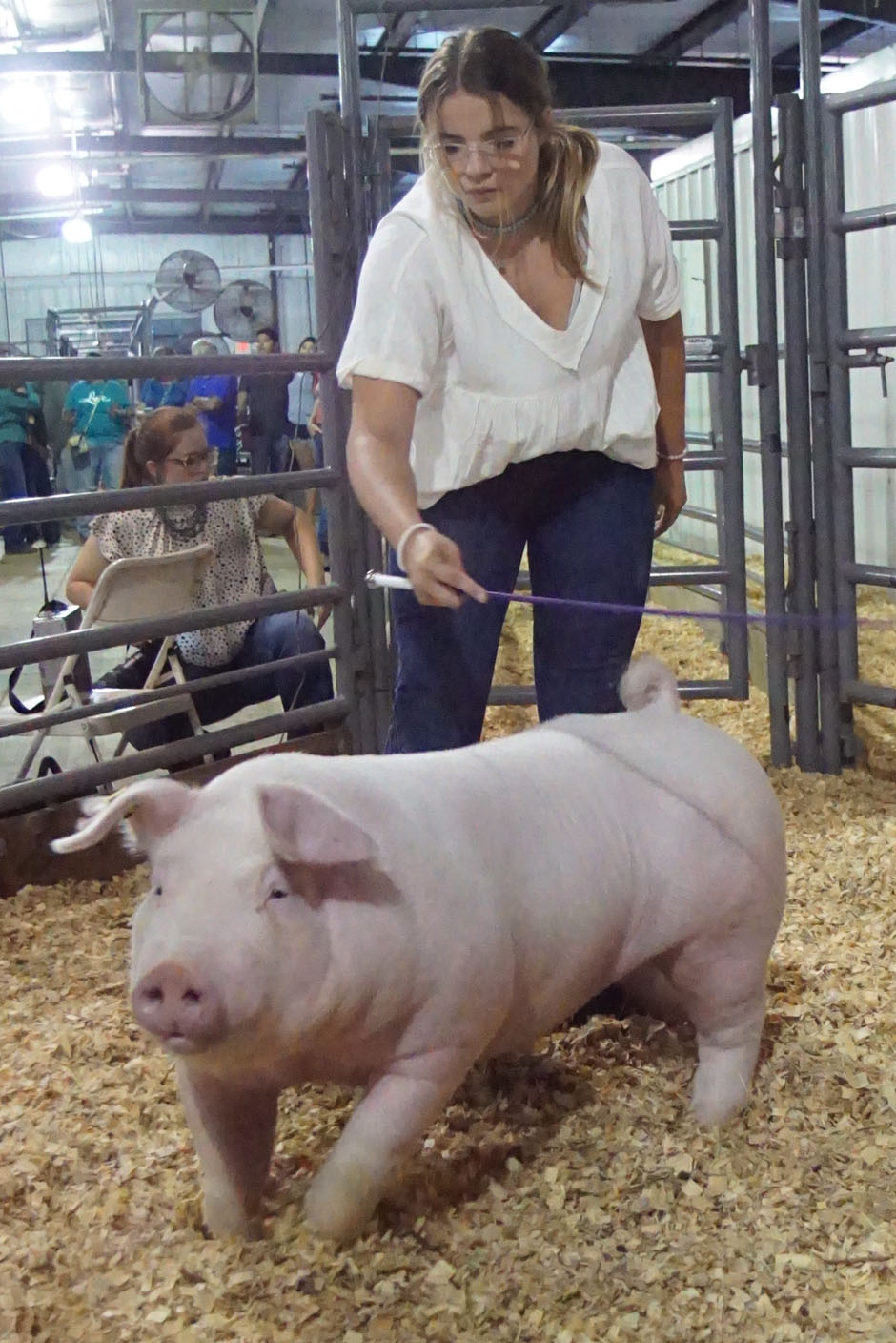 Hogs | Westside Eagle Observer