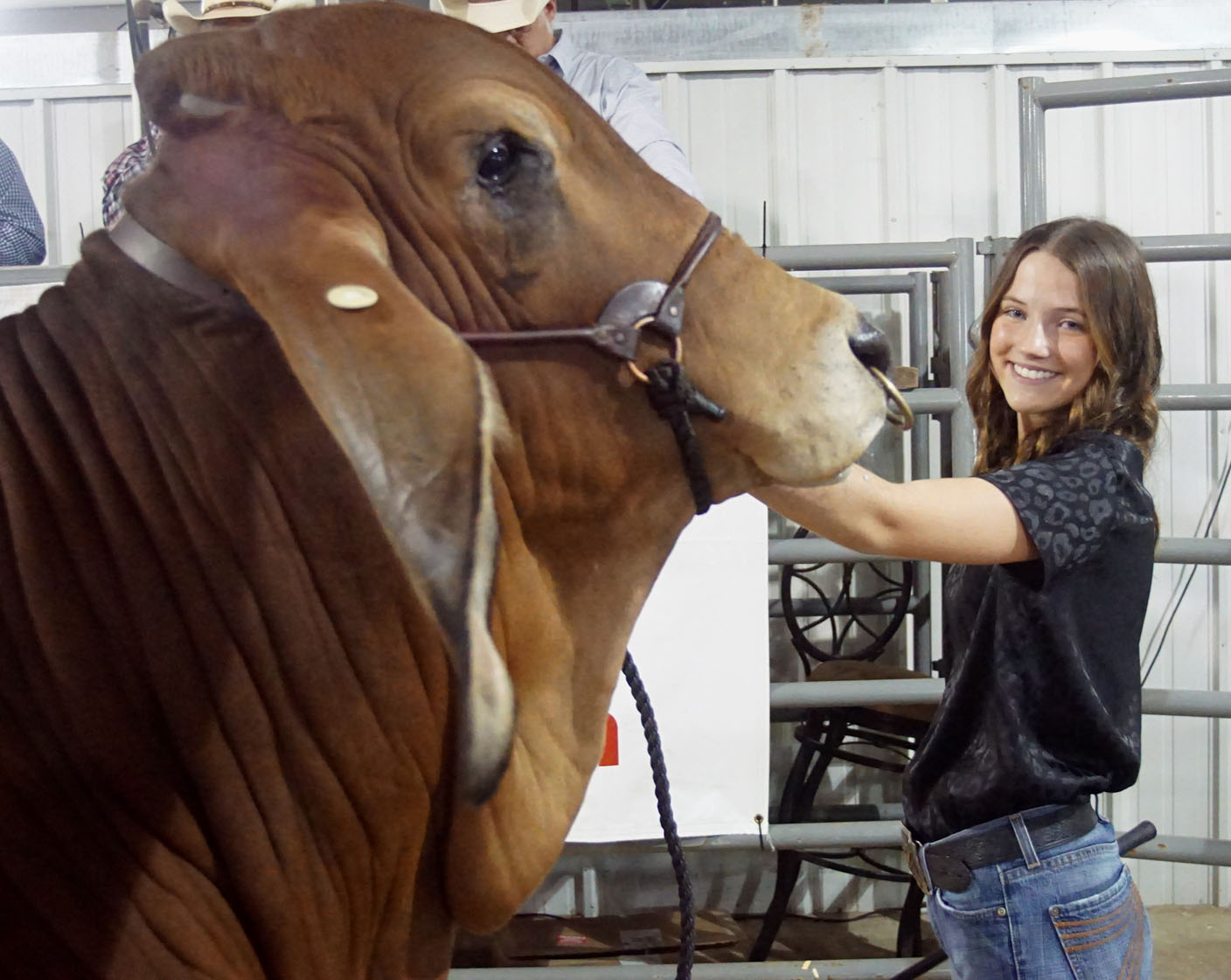 Cattle | Westside Eagle Observer