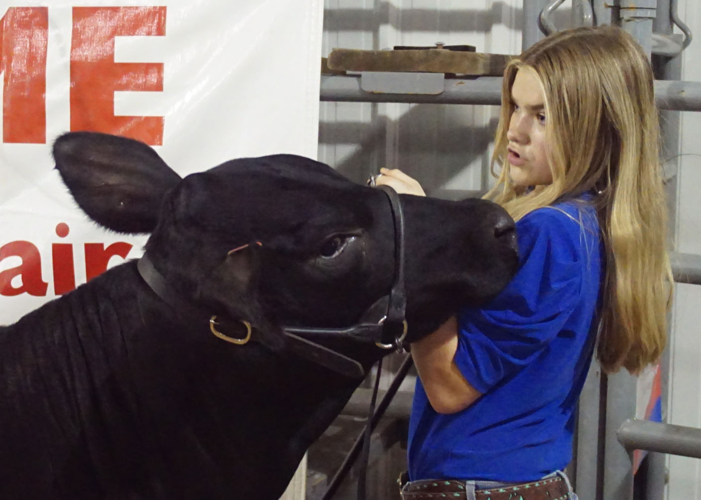 Cattle | Westside Eagle Observer