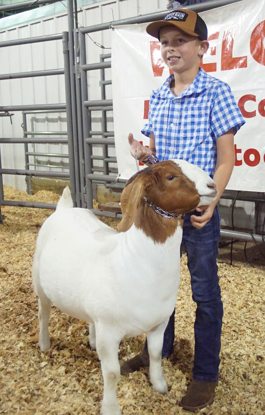 Goats | Westside Eagle Observer