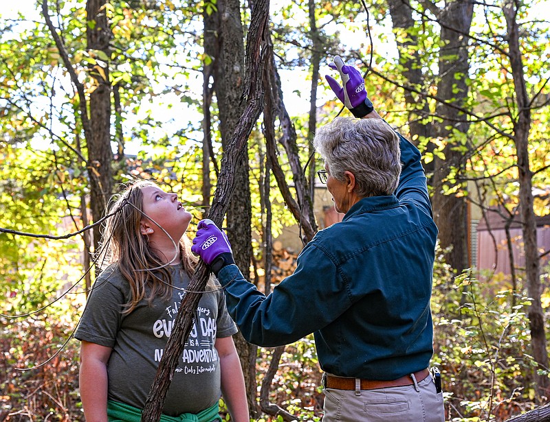 Blair Oaks student service group helps Runge clear out invasive plants ...