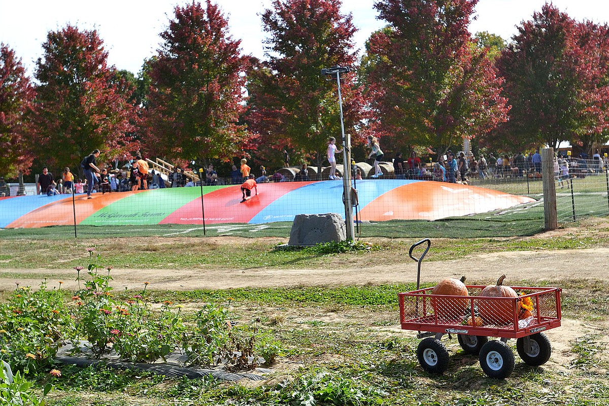 Pumpkins, fun, food and mums available at McGarrah’s | Pea Ridge Times