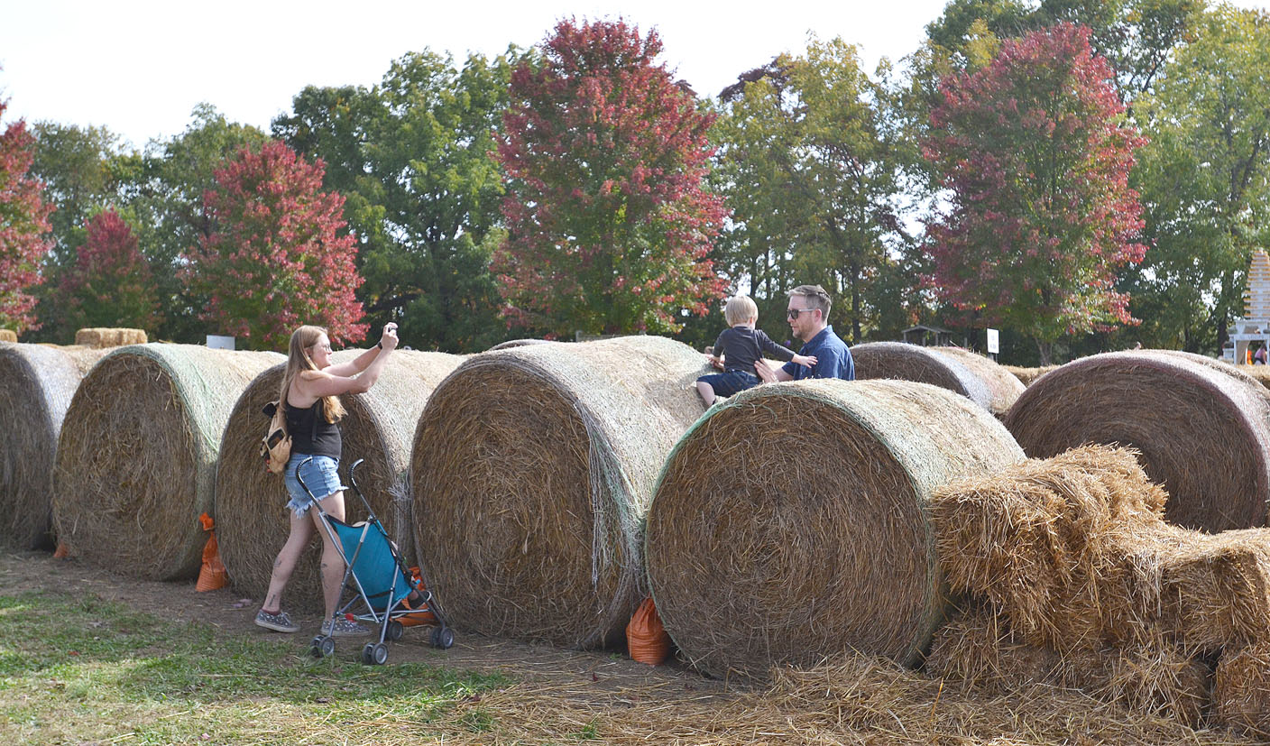 Pumpkins, fun, food and mums available at McGarrah’s | Pea Ridge Times