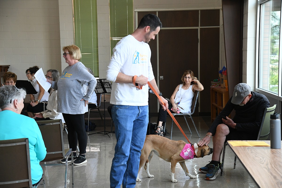 WATCH | Parade of pets: Animal-themed flute concert benefits Humane ...