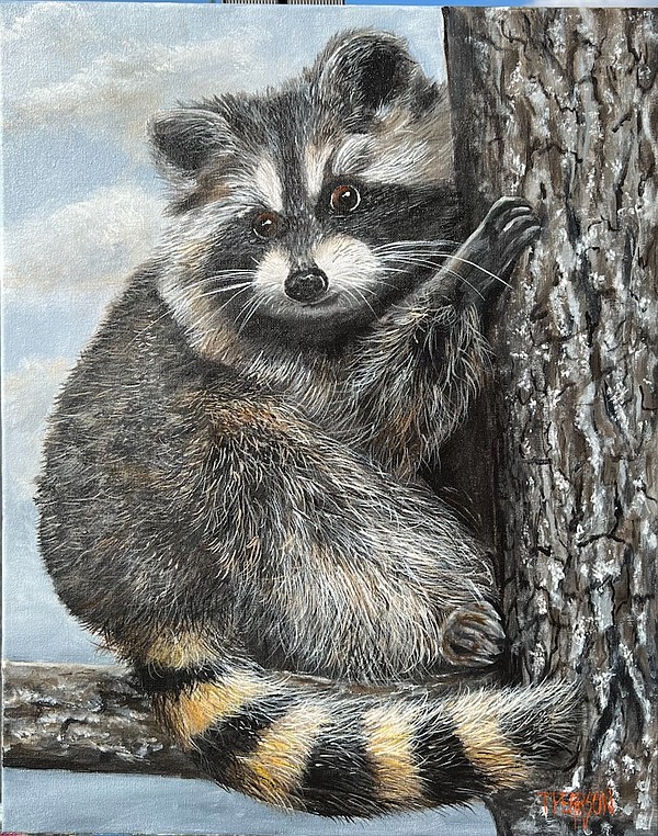 Louisiana State Exhibit Museum to present Mud Mavens and Louisiana ...