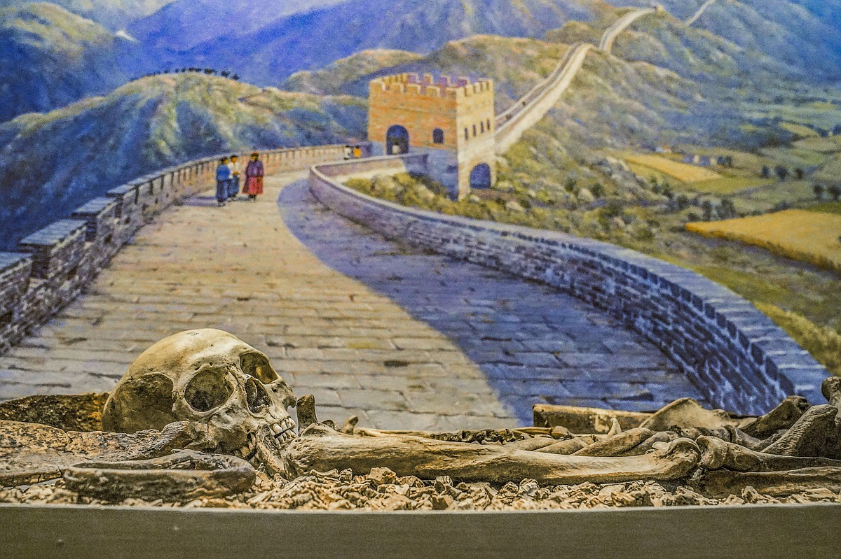 New York natural history museum changing how it looks after thousands ...