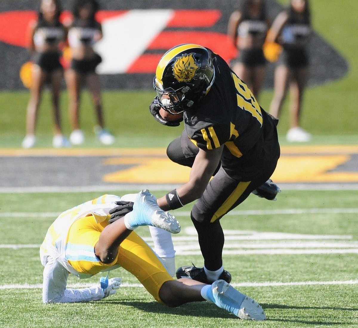 UAPB to honor seniors at home finale | The Arkansas Democrat-Gazette ...