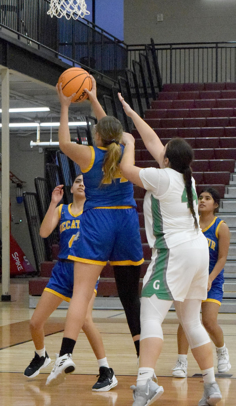 Bulldogs get nipped by Wolves at Lincoln Tournament | Westside Eagle ...