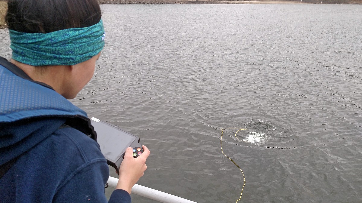 UAPB project helps restore aquatic ecosystems in DeGray Lake | Hot ...