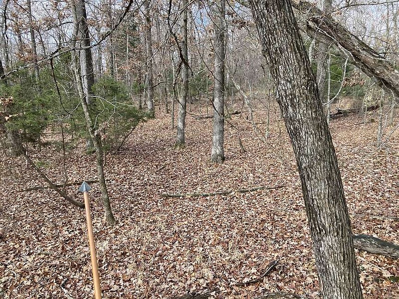 OPINION | PUTTHOFF: Hunters return to Camp See No Deer | Northwest ...