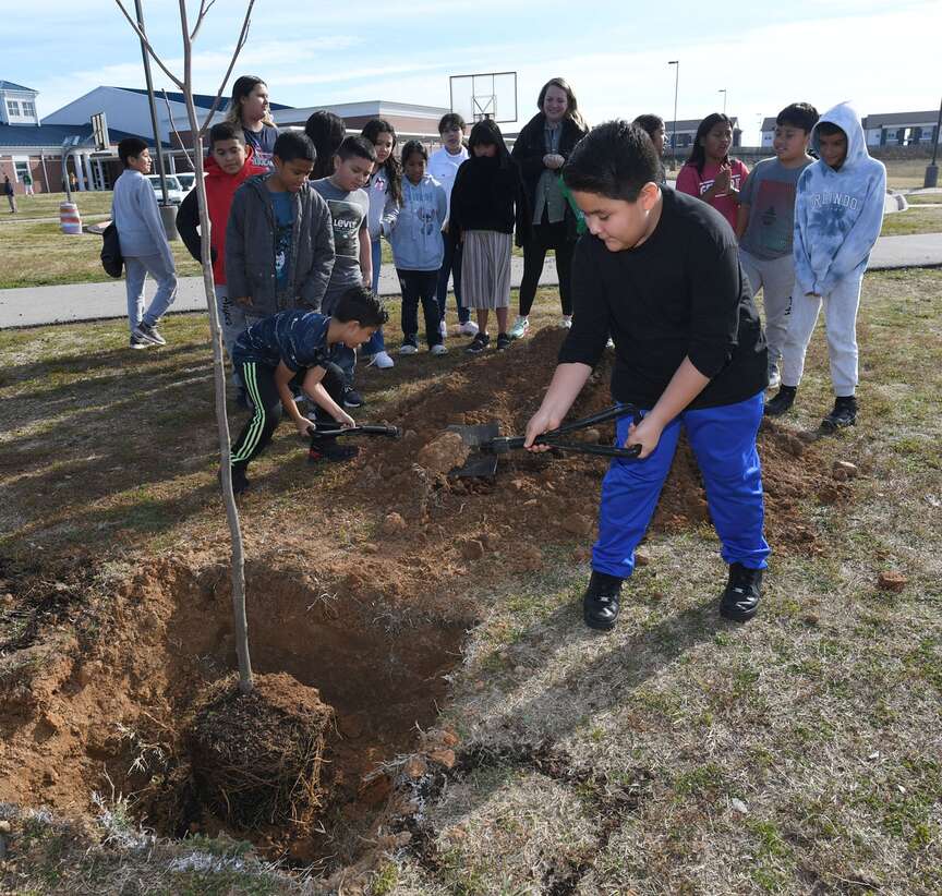 Branching out: Knapp Elementary School students help plant trees to ...