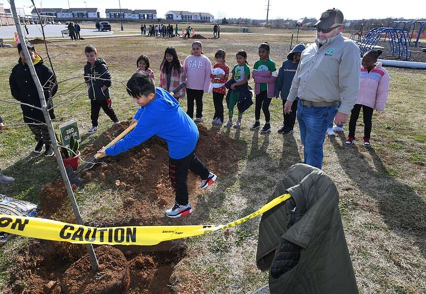Branching out: Knapp Elementary School students help plant trees to ...