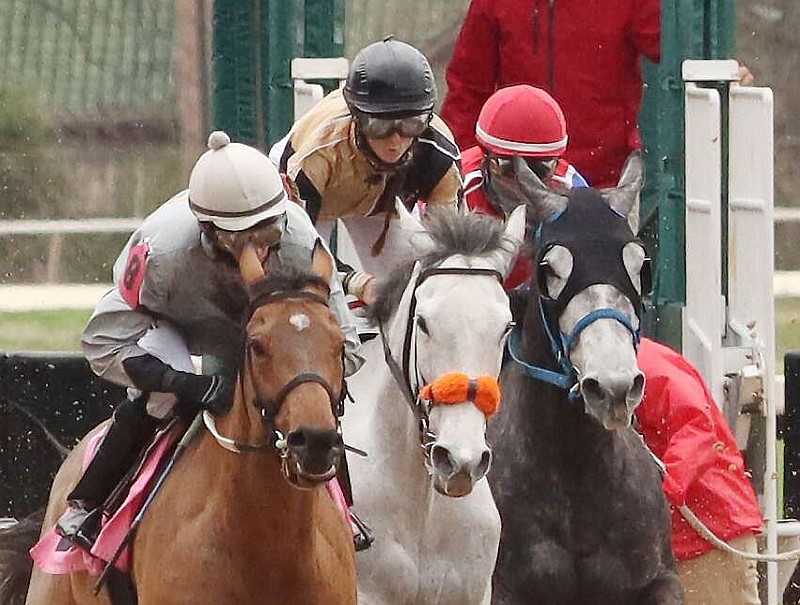Scholars study racehorses’ retirement | Pine Bluff Commercial News