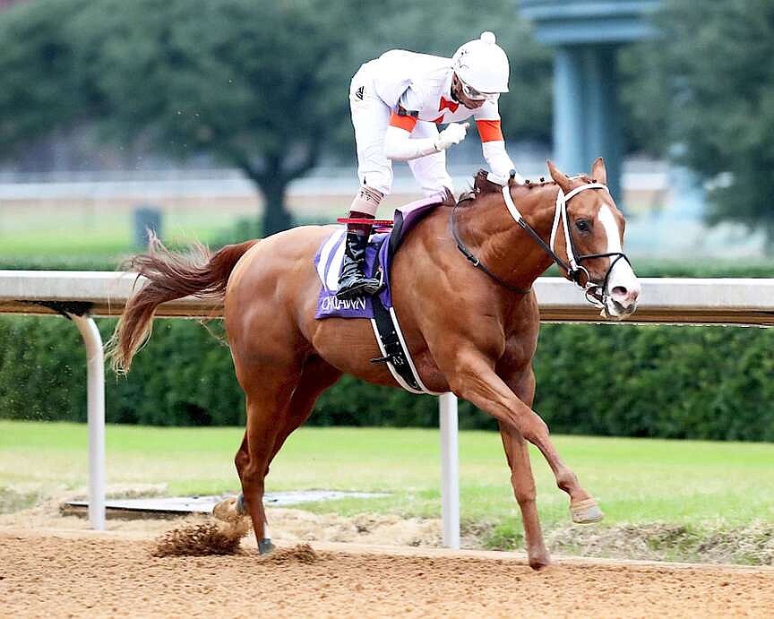 ‘Candy’ for a baby: Justify colt wins Advent Stakes | Hot Springs ...