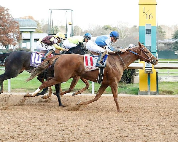 Here’s what you missed in Garland County sports the week of Dec. 4 ...