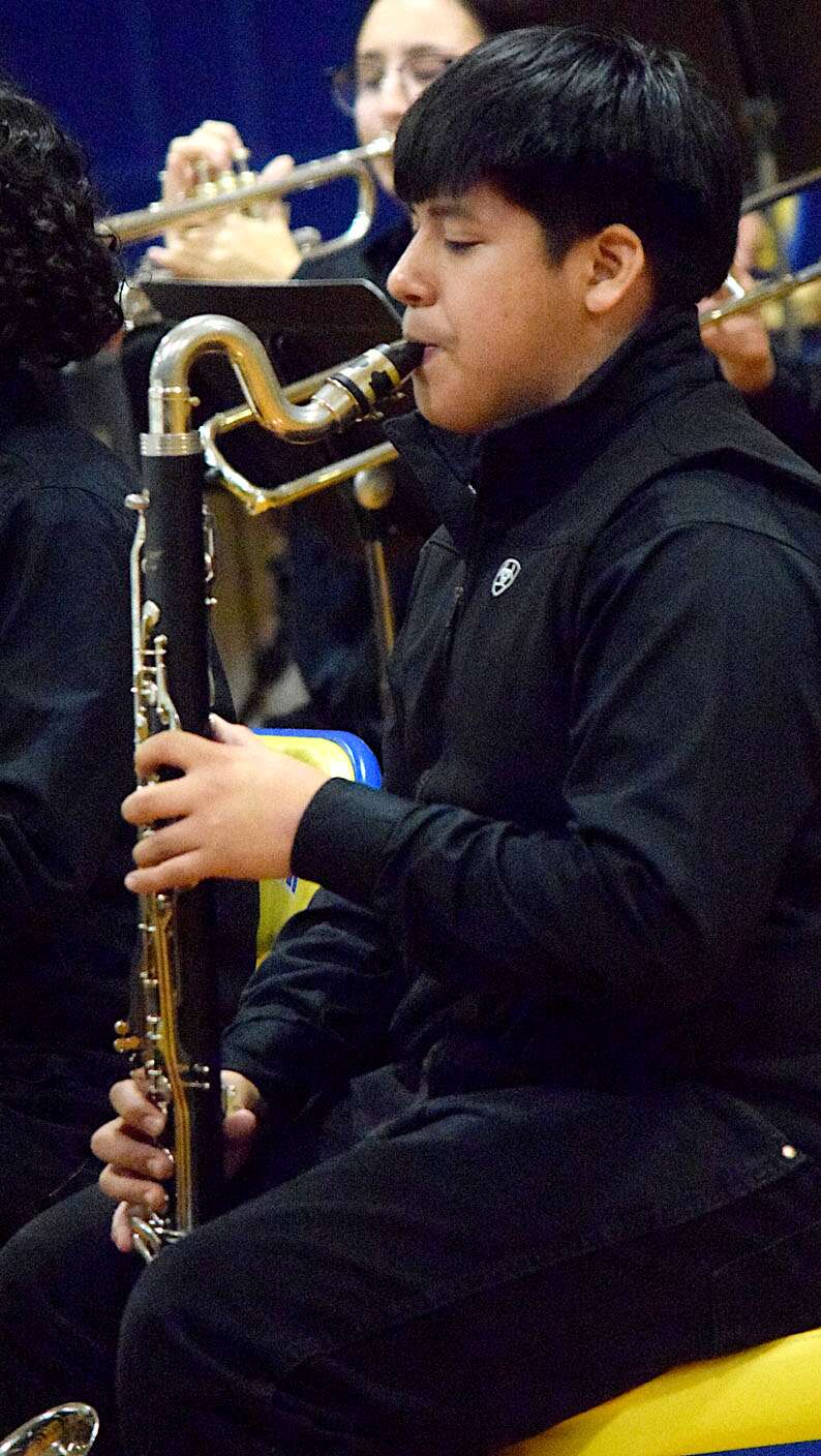 Decatur musicians make beautiful, exciting music during big concert ...