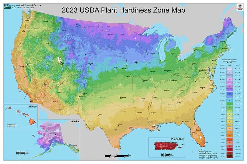 USDA’s updated winter-hardiness zones for Arkansas only one piece of ...