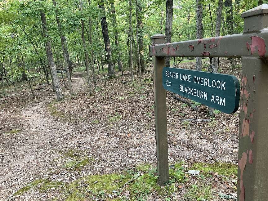 OPINION | Putthoff Twin loops at Hobbs State Park offer healthy start ...