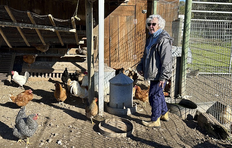 Avian flu is devastating farms in California's 'Egg Basket' as ...