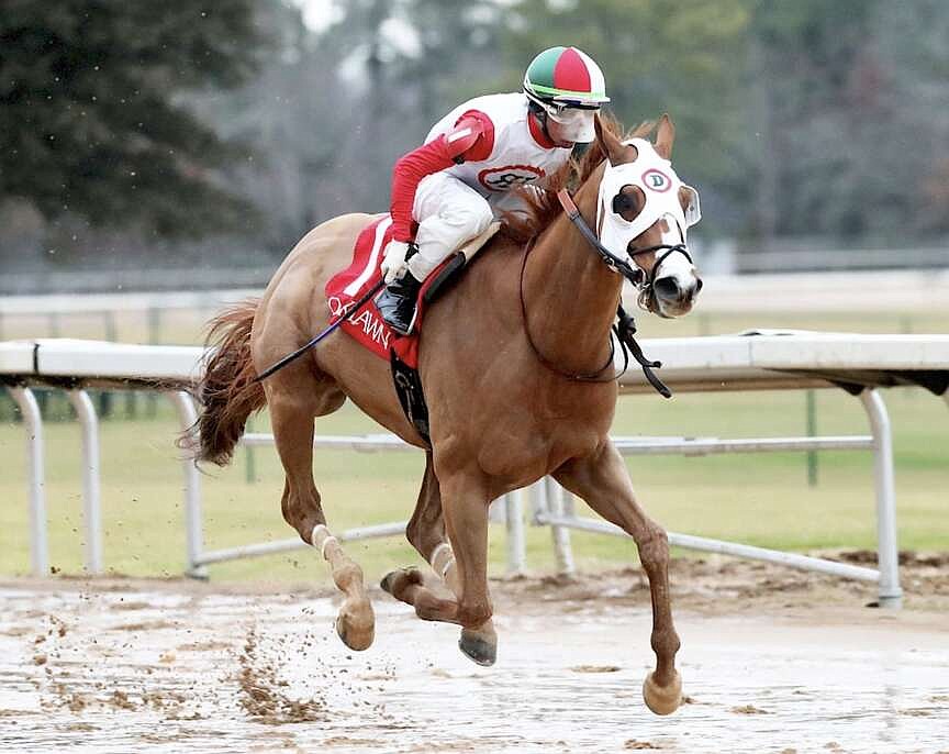 Next level: Newbie Hernandez takes Fifth Season | Hot Springs Sentinel ...