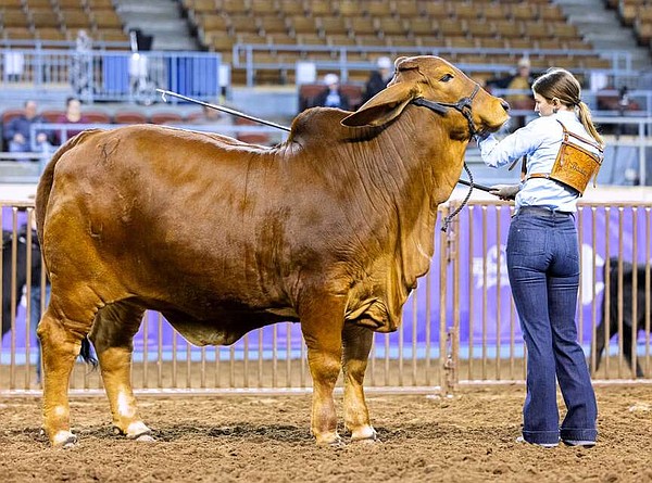 Bailey Malone taking charge | Westside Eagle Observer