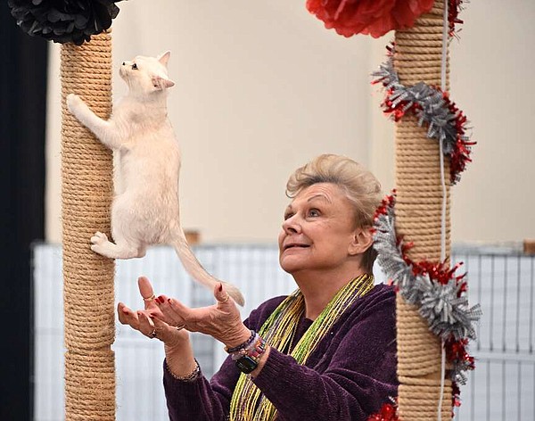ENTERTAINMENT: Cat fanciers convene; stand-up/science show starts tour ...
