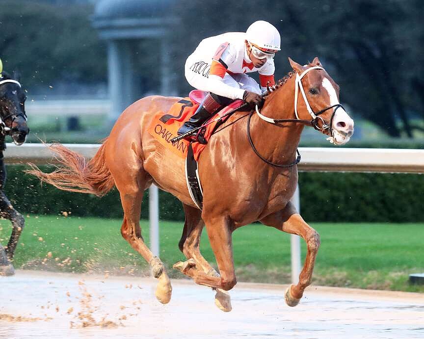 Mud in your eye: Asmussen colt wins third stake | Hot Springs Sentinel ...